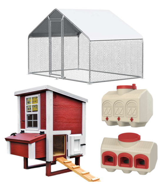 Small Package (2 - 5 Chickens) | My Chicken Guy