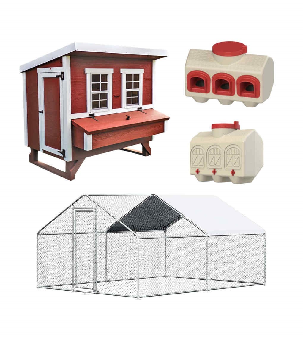 Large Package (10 - 15 Chickens) | My Chicken Guy